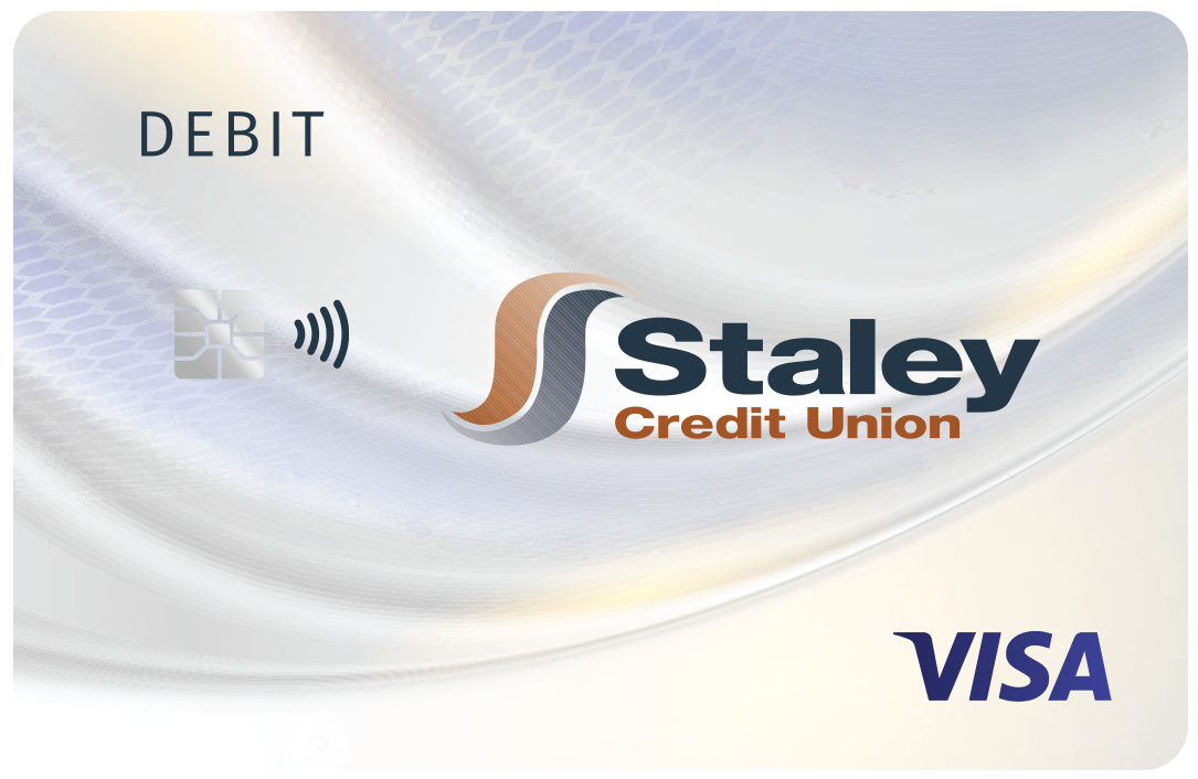 Visa Debit Card Logo